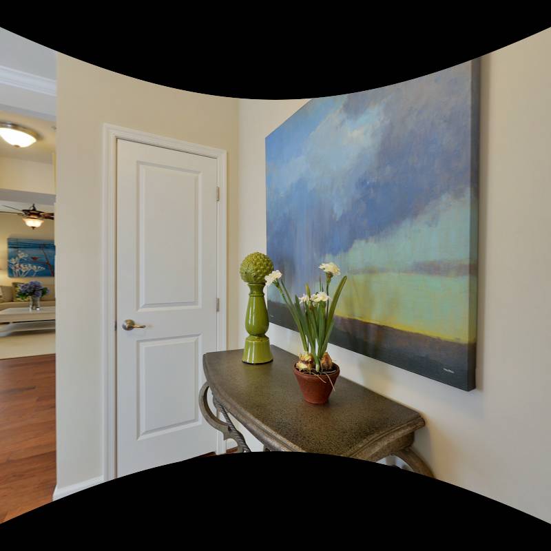 Blackstream Creative - Ryan Homes - Venice